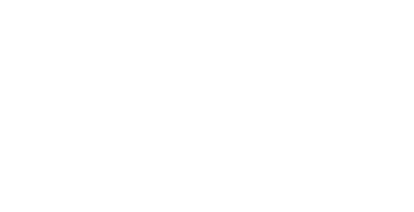 Datamars Sustainability Foundation – DMSF